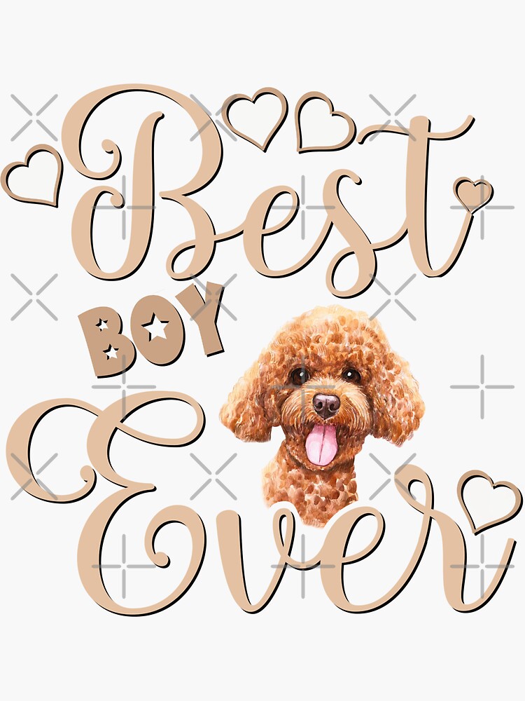 "Best boy ever poodle " Sticker for Sale by TipTopTapo | Redbubble