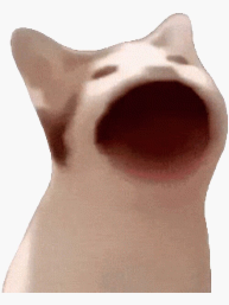 "Popcat" Sticker for Sale by CoolMeowCat | Redbubble