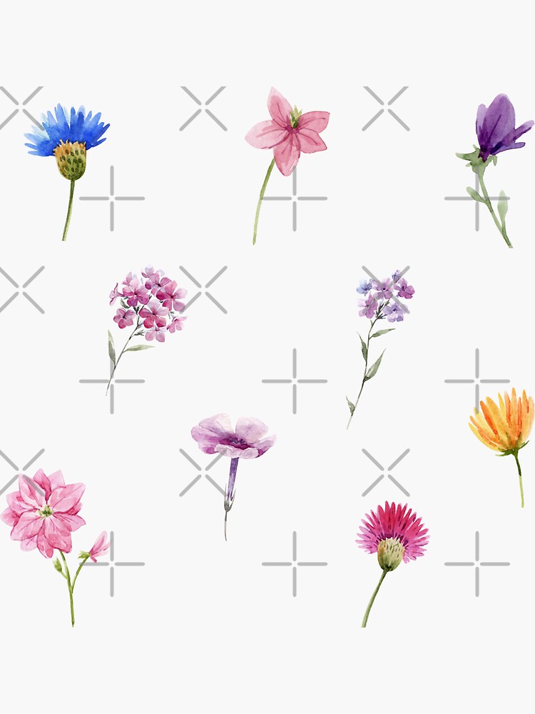 "Watercolor Flowers with Stems and Leaves" Sticker for Sale by silviaol ...