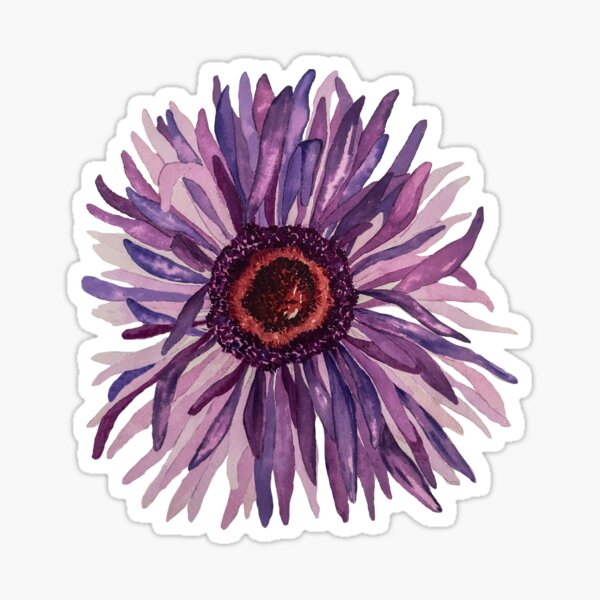 "Aster/Daisy flower big purple" Sticker for Sale by miomercado | Redbubble