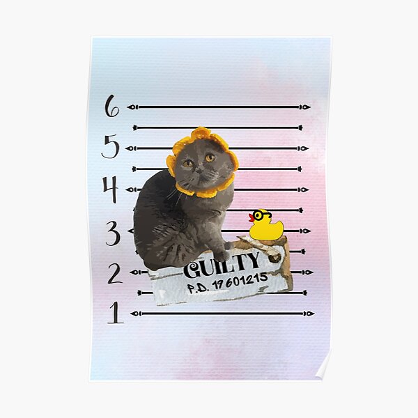 "My beautiful Russian Blue is guilty" Poster for Sale by Bellemolly ...