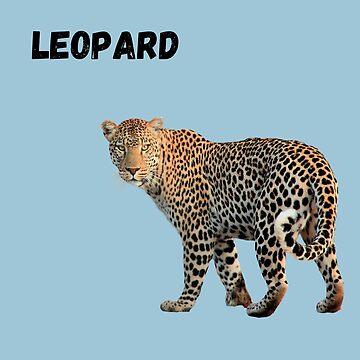 "Leopard Word Sticker" Sticker for Sale by BaristaHero | Redbubble