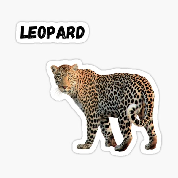 "Leopard Word Sticker" Sticker for Sale by BaristaHero | Redbubble