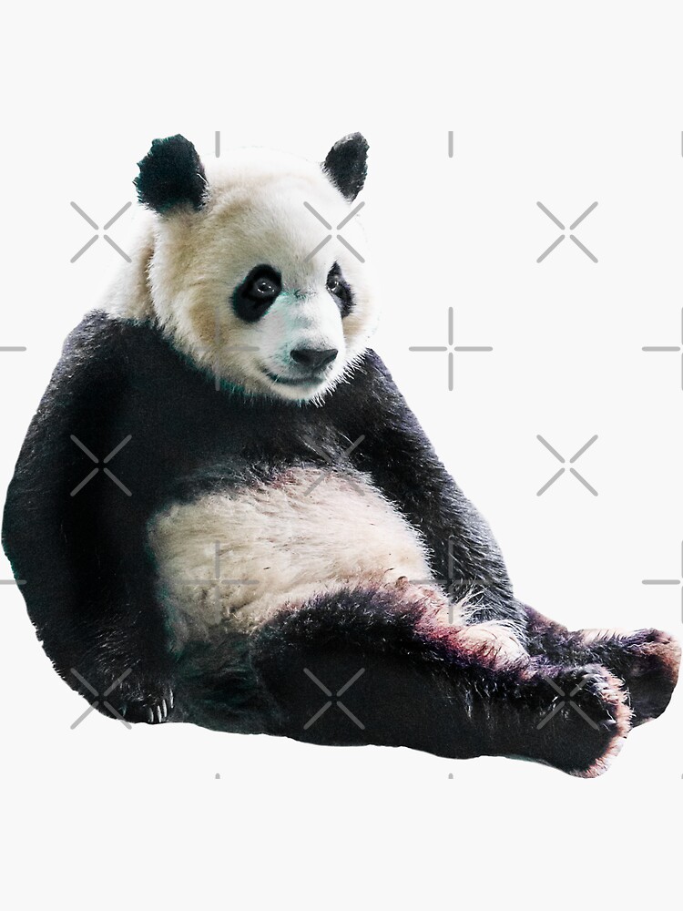 "Giant Panda" Sticker for Sale by Dalyn | Redbubble