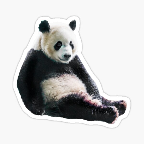 "Giant Panda" Sticker for Sale by Dalyn | Redbubble