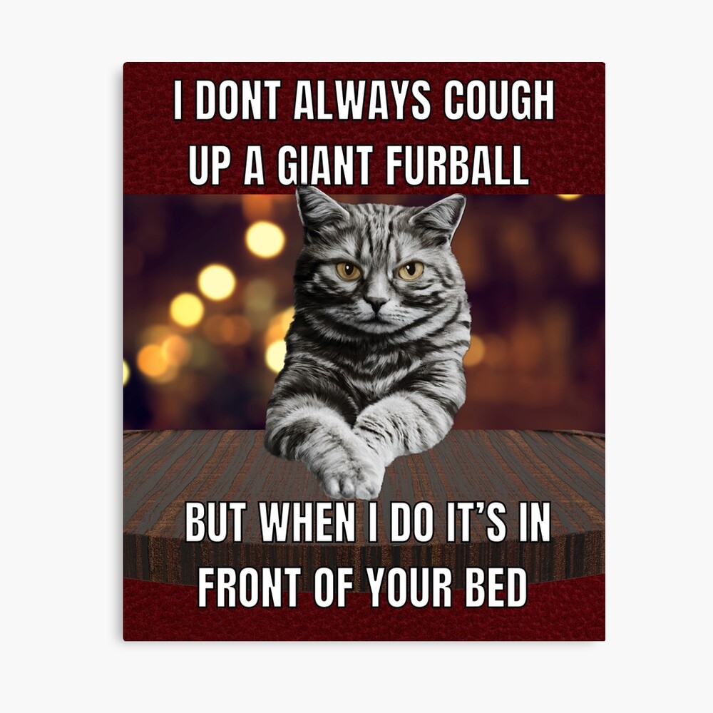 Cat Furball Memes