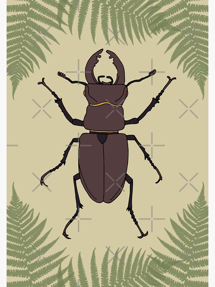 "Stag Beetle Nature Pattern" Sticker for Sale by HotHibiscus | Redbubble