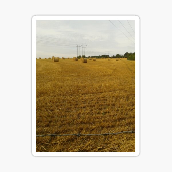 "Straw Bales" Sticker for Sale by SandersSP-Merch | Redbubble