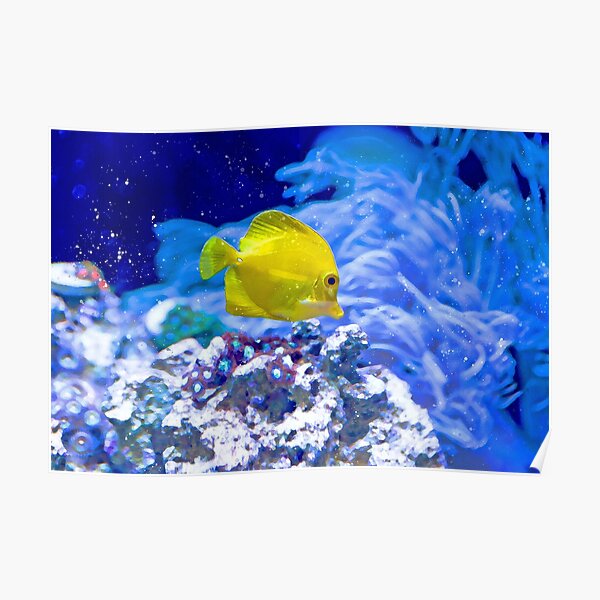 " Yellow Tang Fishing Ocean Watercolour Digital Painting" Poster for ...