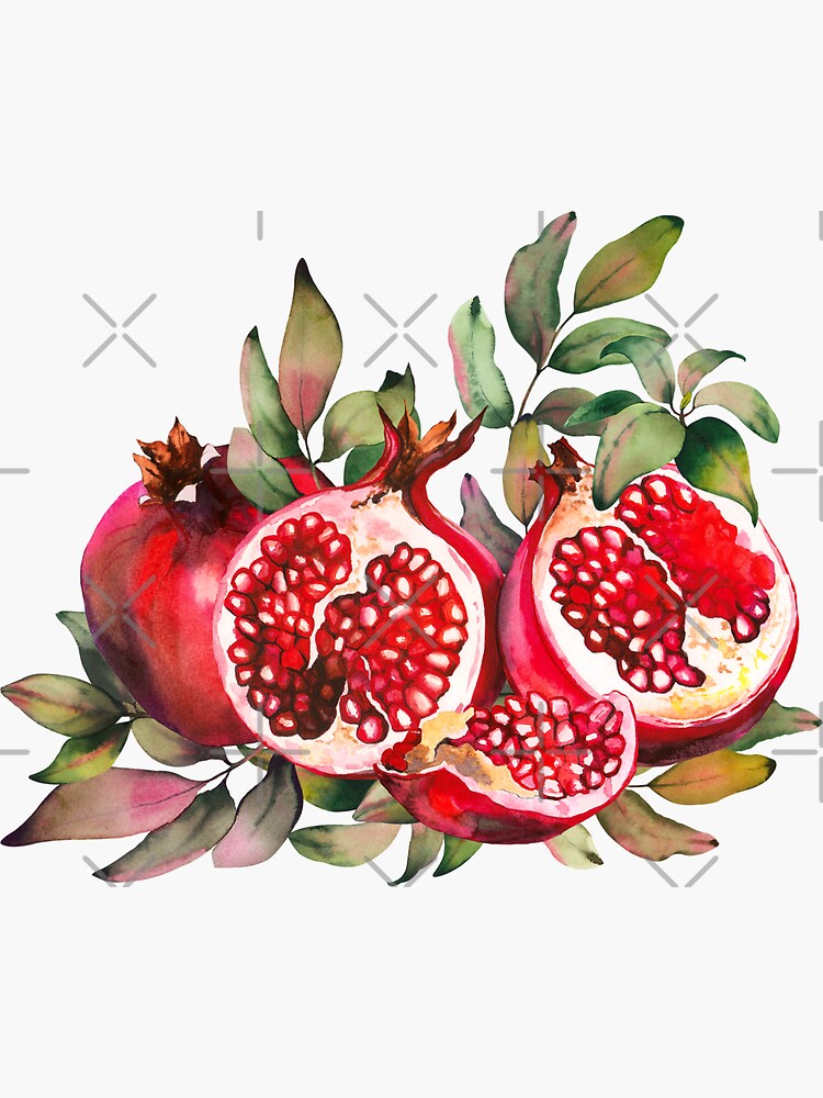 "Pomegranate" Sticker for Sale by GeekQuote | Redbubble