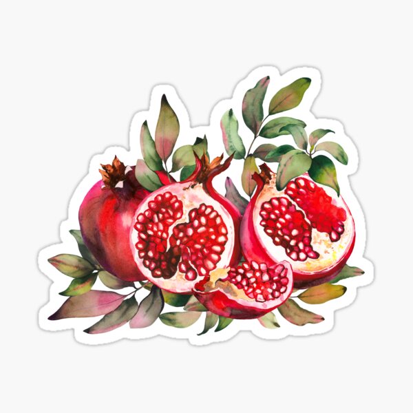 "Pomegranate" Sticker for Sale by GeekQuote | Redbubble