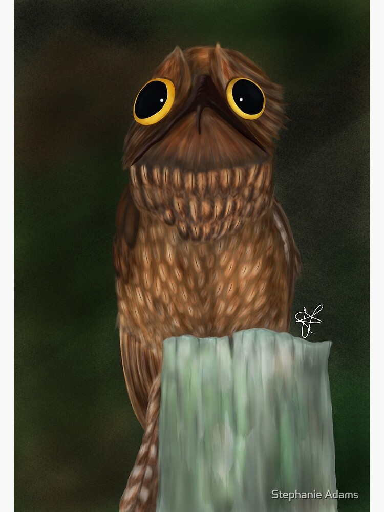 "Potoo bird" Poster for Sale by Jakathine | Redbubble