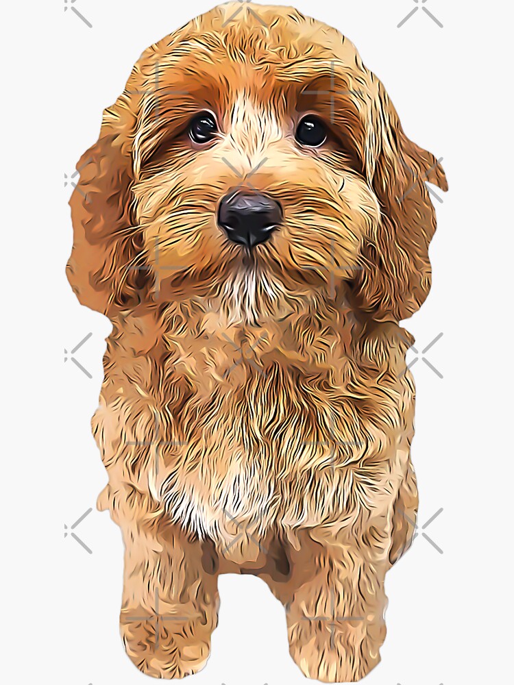 "Spoodle Cockapoo Cockerpoo Doodle" Sticker for Sale by ElegantCat ...
