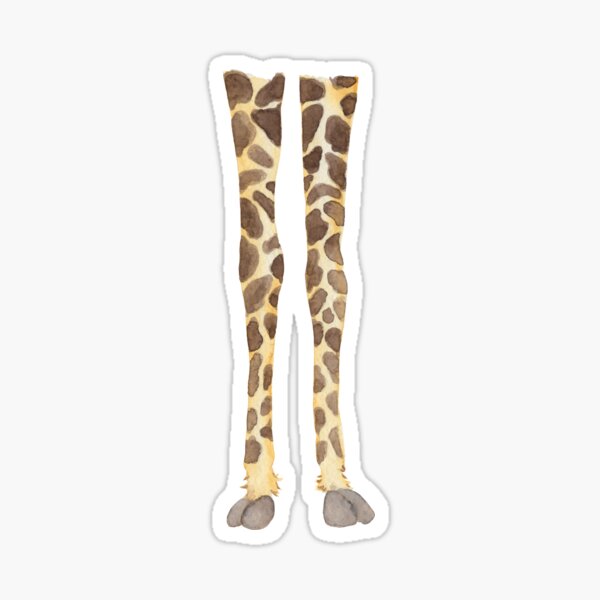 "giraffe legs" Sticker for Sale by Bobeys | Redbubble