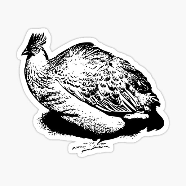 Funny Chicken Line Art Pop Art Minimalist Sticker For Sale By Drosoman Redbubble