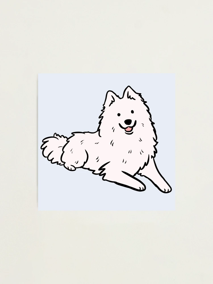 American Eskimo Dog Drawing