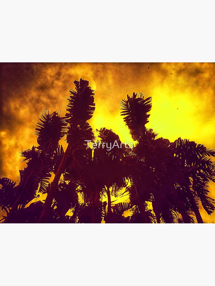 "Apocalypse Palms Meeting - Personification Biophilia 1 of 4 - Brown ...