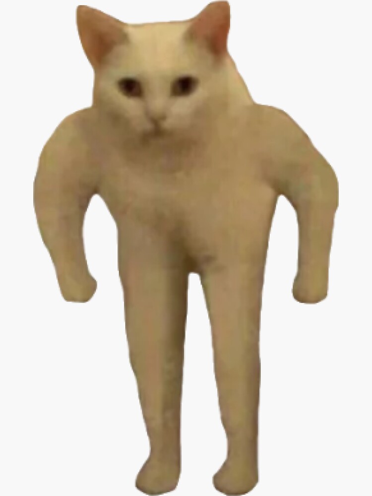 Strong Cat Memes Best Cat Memes Of All Time | World's Best Cat Litter