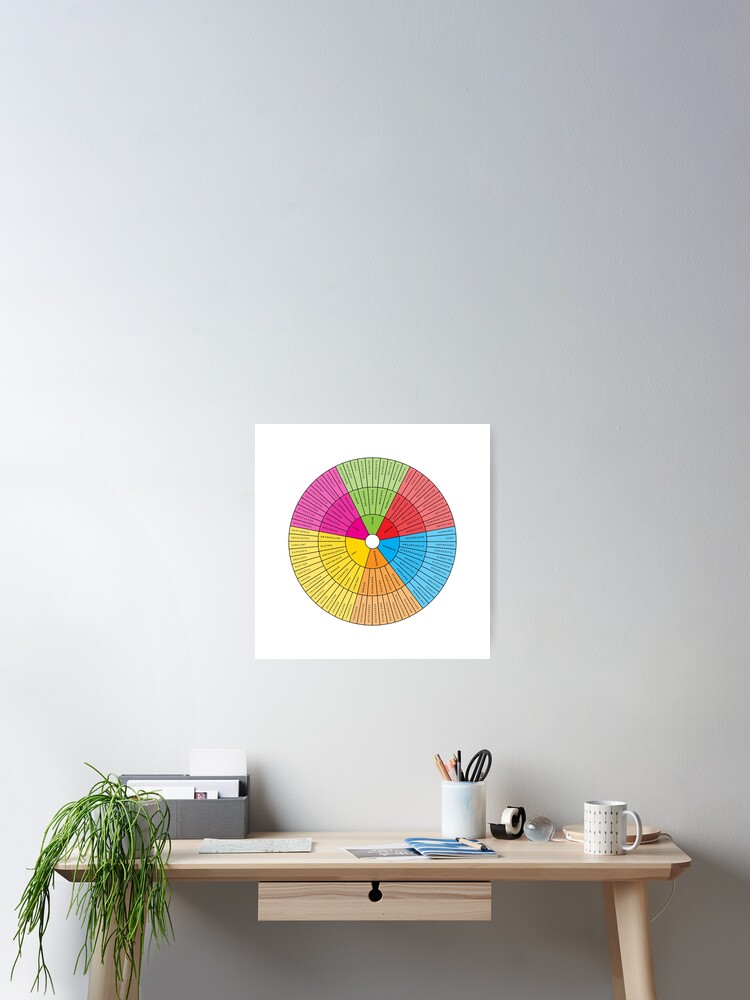 "Wheel of Emotions + Feelings | Rainbow + Black on White | American ...