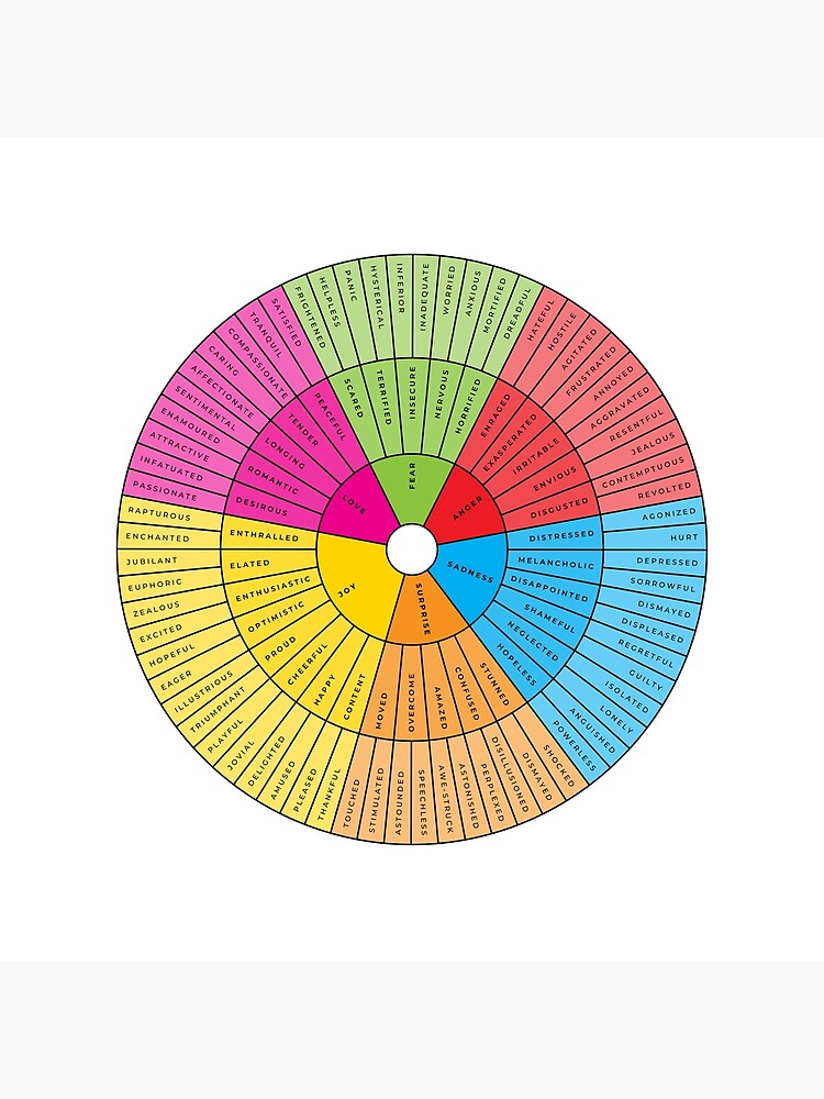 "Wheel of Emotions + Feelings | Rainbow + Black on White | American ...