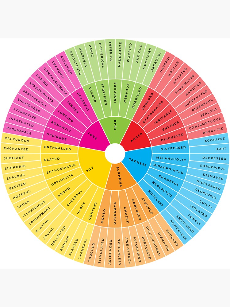 "Wheel of Emotions + Feelings | Rainbow + Monochrome on White ...