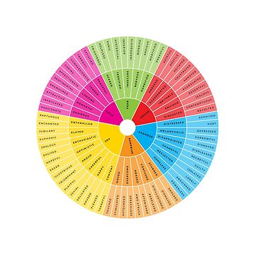 "Wheel of Emotions + Feelings | Rainbow + Monochrome on White ...