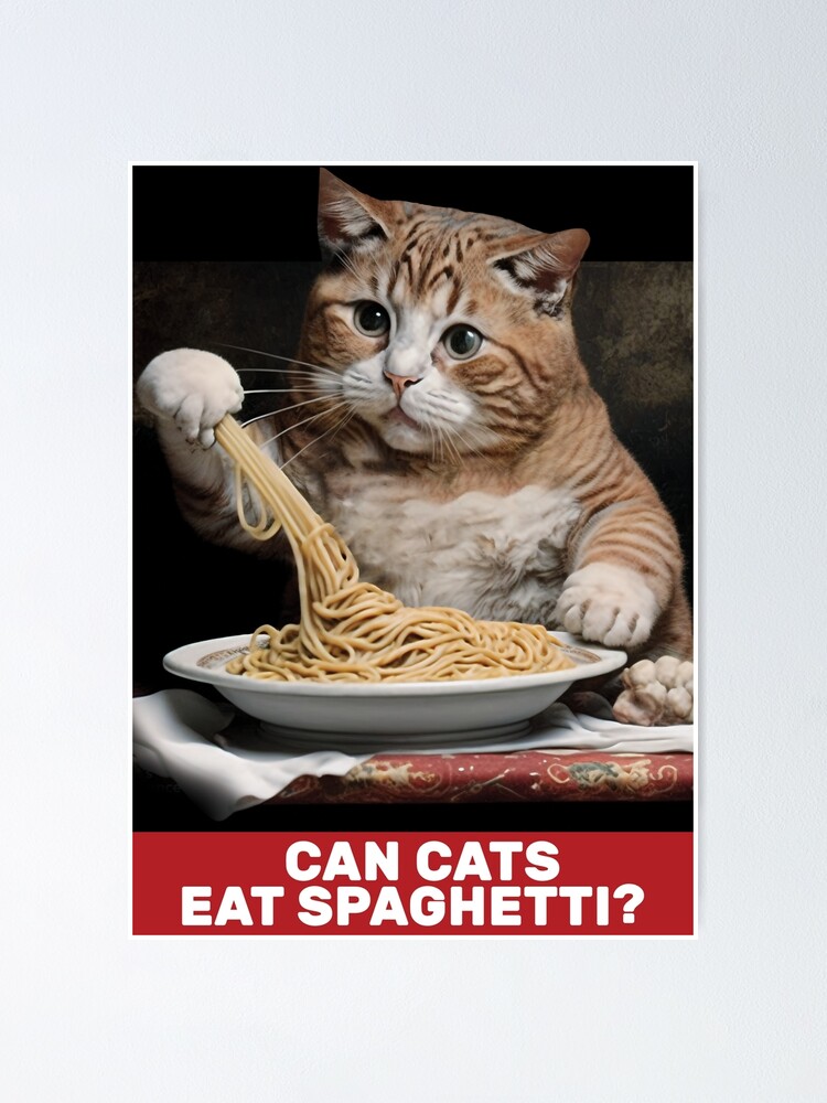 Katze Isst Spaghetti Gif