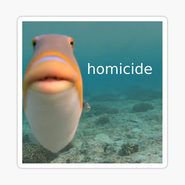 "fish meme homicide" Sticker for Sale by gkatman | Redbubble
