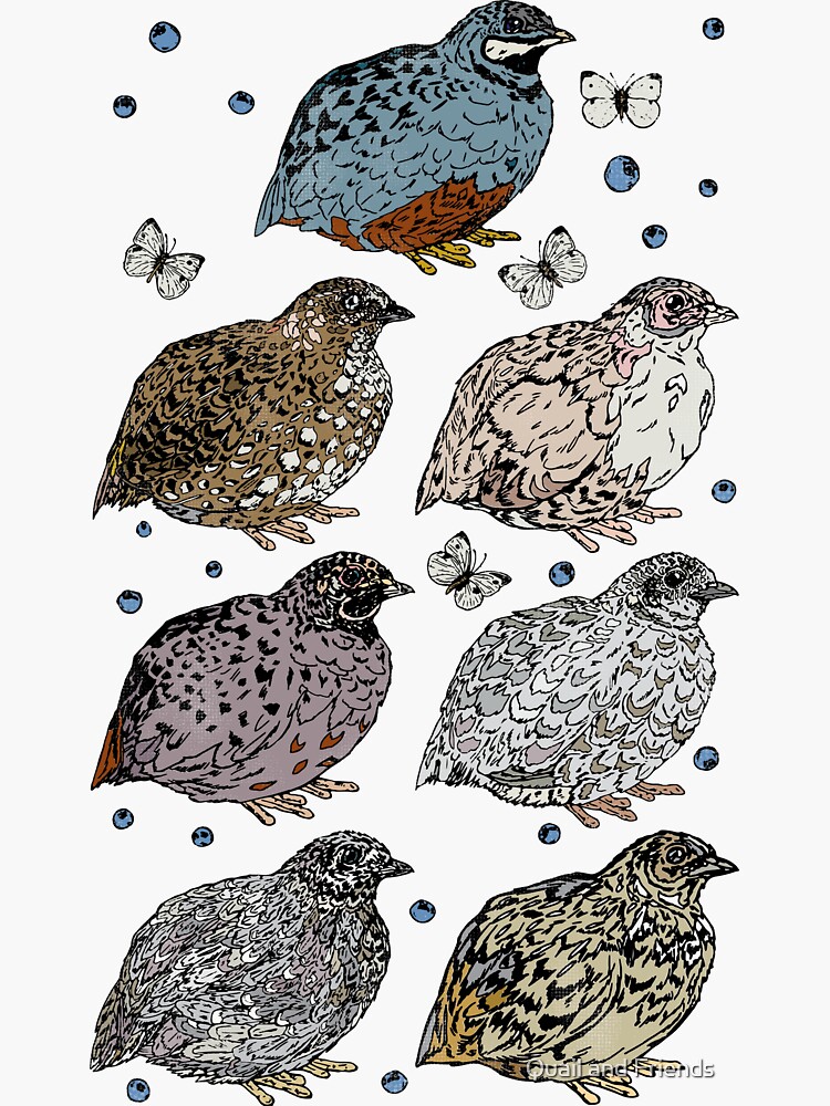 "Quail, Blueberries, and Brambles Night Pattern" Sticker for Sale by ...