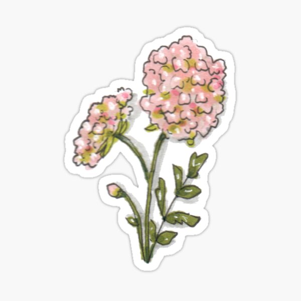 "Pink Queen Anne's Lace " Sticker for Sale by grace-anne- | Redbubble