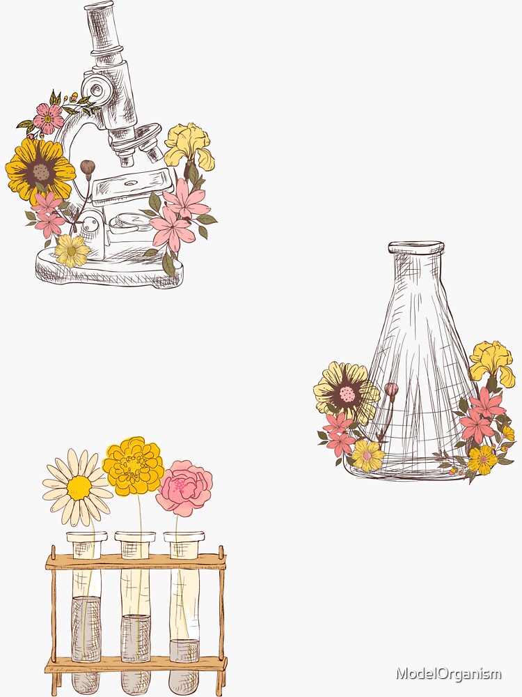 "Set of Three Scientific Laboratory Equipment Stickers Flask Microscope ...
