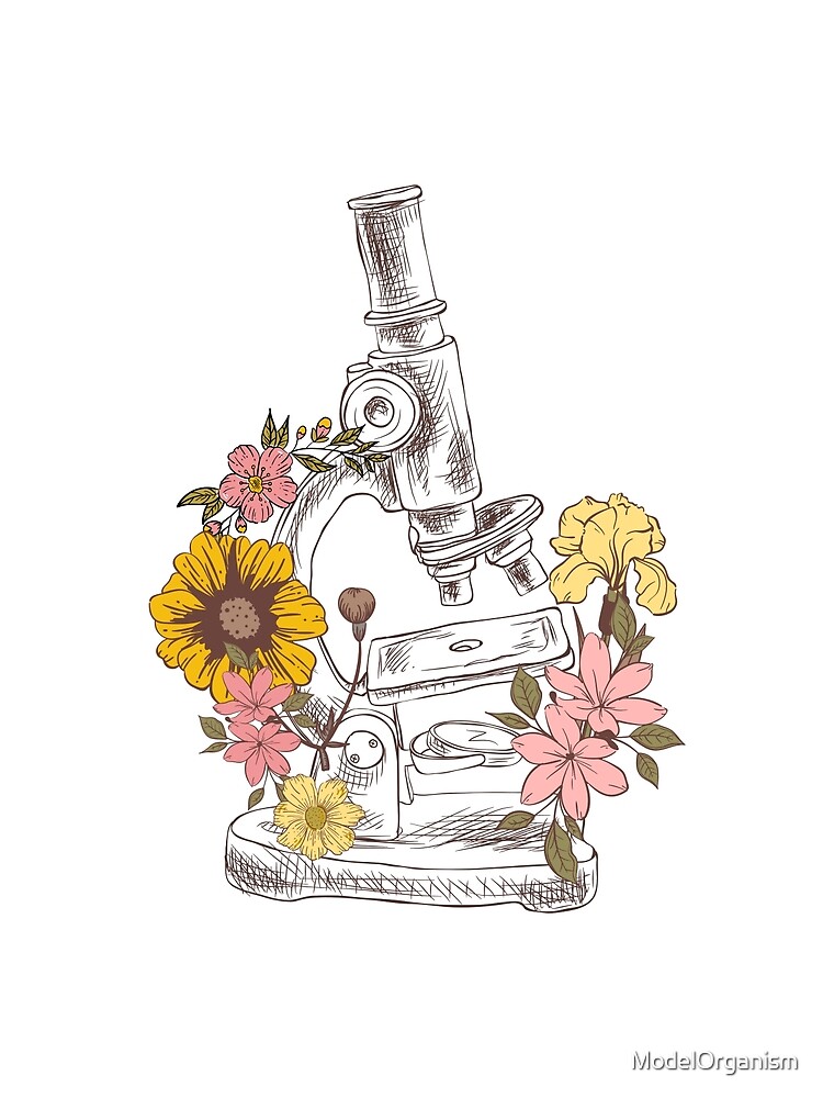 "Microscope Floral Laboratory Equipment (Orange and Pink)" Photographic ...