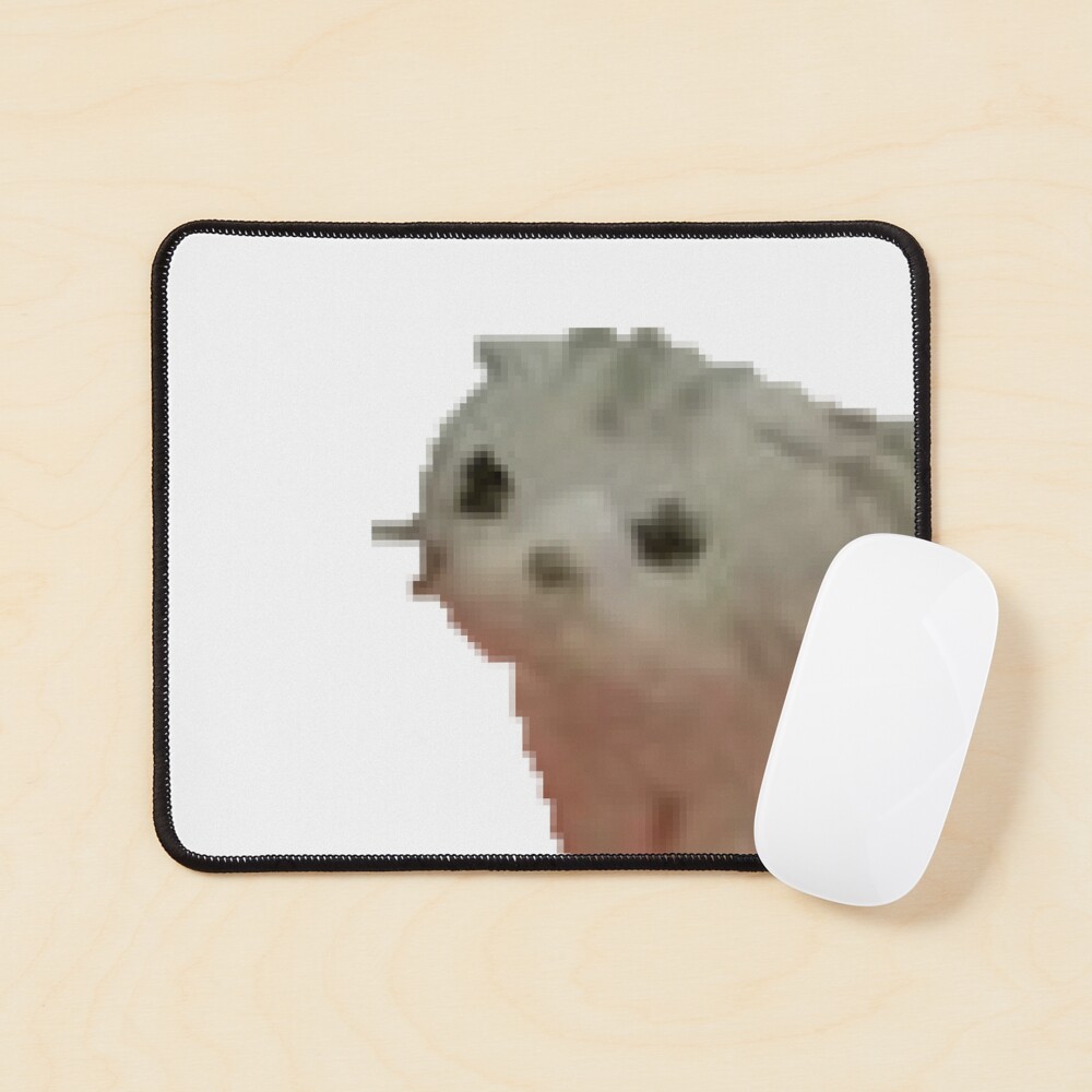 "El wiwi big" Sticker for Sale by CoolMeowCat | Redbubble