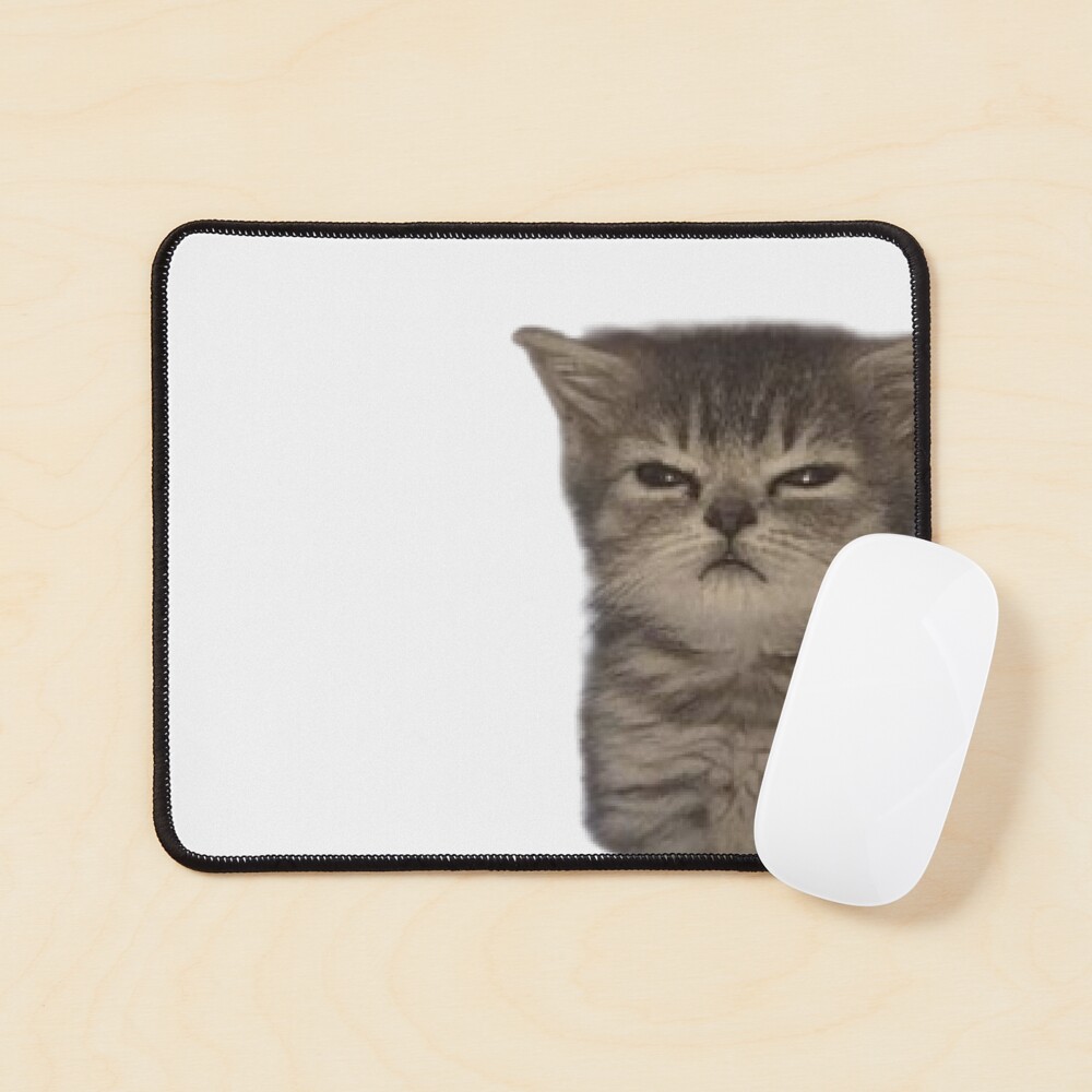 "Squinting cat" Sticker for Sale by CoolMeowCat | Redbubble