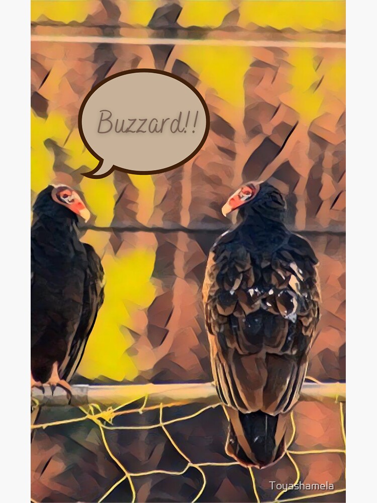 "Two Buzzards Facing Off" Sticker for Sale by Toyashamela | Redbubble