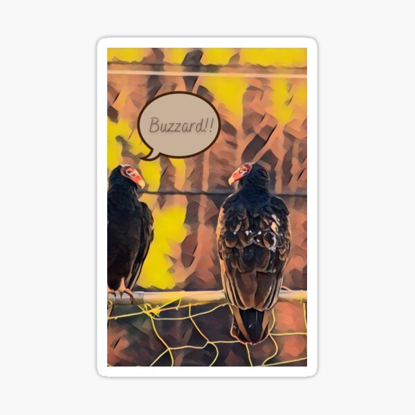 "Two Buzzards Facing Off" Sticker for Sale by Toyashamela | Redbubble