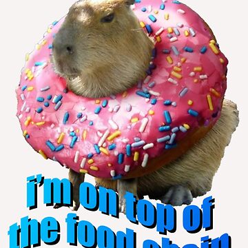 "Capybara Is Better Cursed Meme " Sticker for Sale by Suberodesignsz | Redbubble