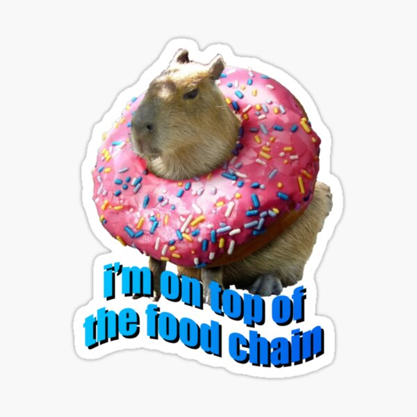 "Capybara Is Better Cursed Meme " Sticker for Sale by Suberodesignsz ...