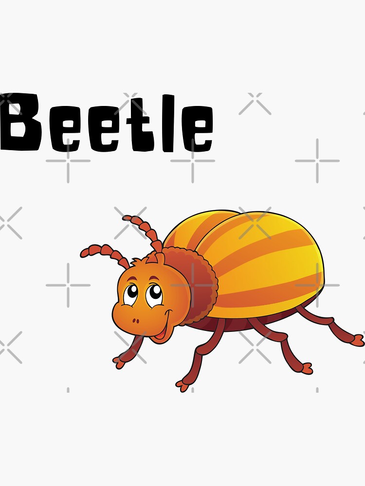 "Beetle Word Art" Sticker for Sale by BaristaHero | Redbubble