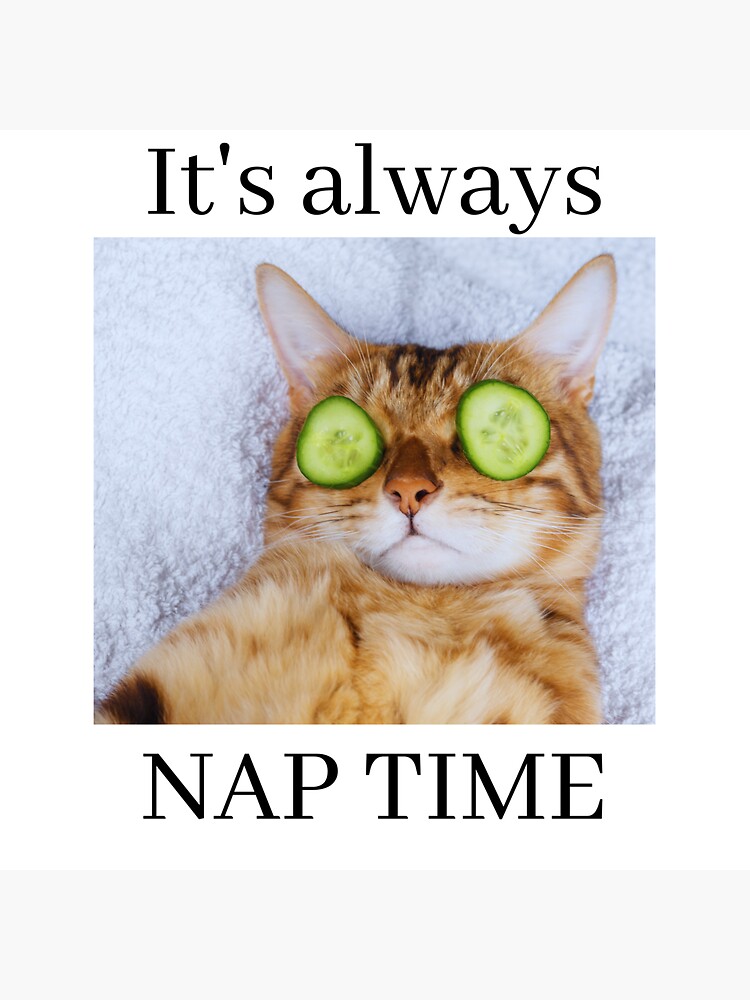 " Most Likely to Take a Nap, It's Always Nap Time Funny Cat" Sticker ...