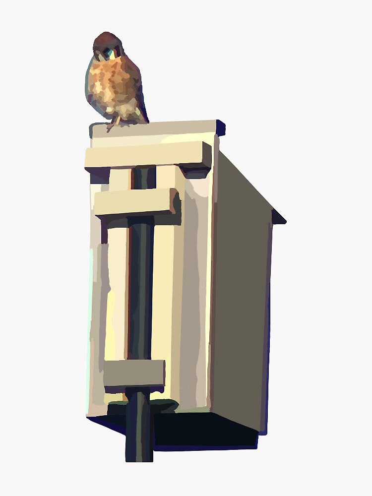 "American Kestrel on a Nest Box" Sticker for Sale by Garrart1 | Redbubble