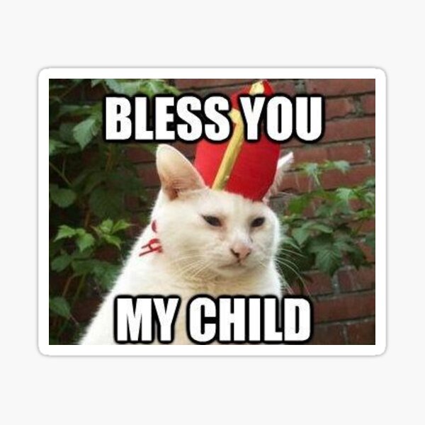 "Bless you my child,funny cat meme" Sticker for Sale by SamalexDesigns ...