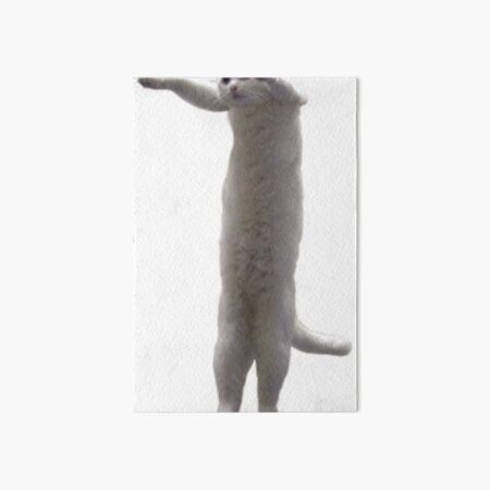 "Long Cat Meme" Art Board Print for Sale by lolhammer | Redbubble