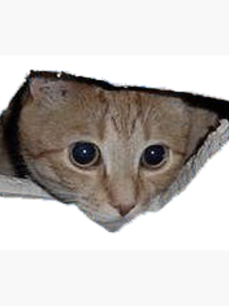 "Ceiling Cat Meme" Tapestry for Sale by lolhammer | Redbubble