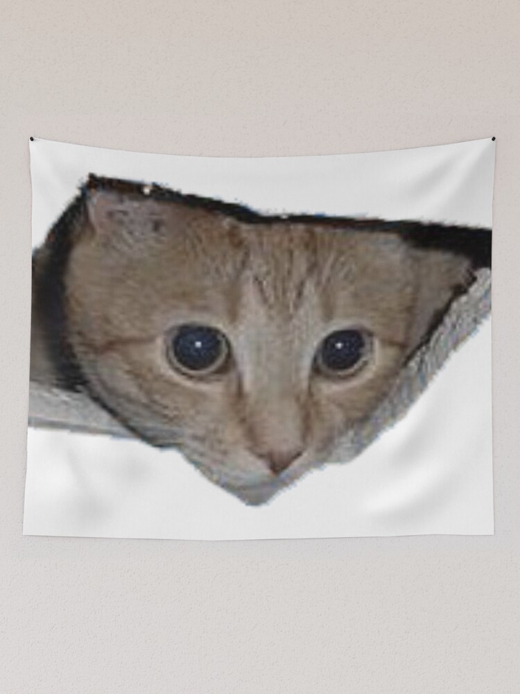 "Ceiling Cat Meme" Tapestry for Sale by lolhammer | Redbubble