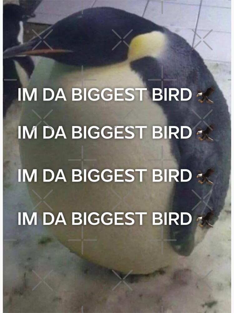 Im Da Biggest Bird Penguin Meme Sticker For Sale By Gogreen1337 Redbubble