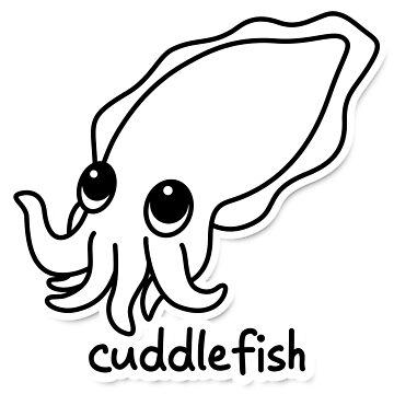 "Cuddlefish" Sticker for Sale by KleineKarperArt | Redbubble