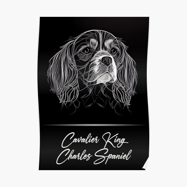 "Cavalier King Charles Spaniel" Poster for Sale by Best-Breeds | Redbubble