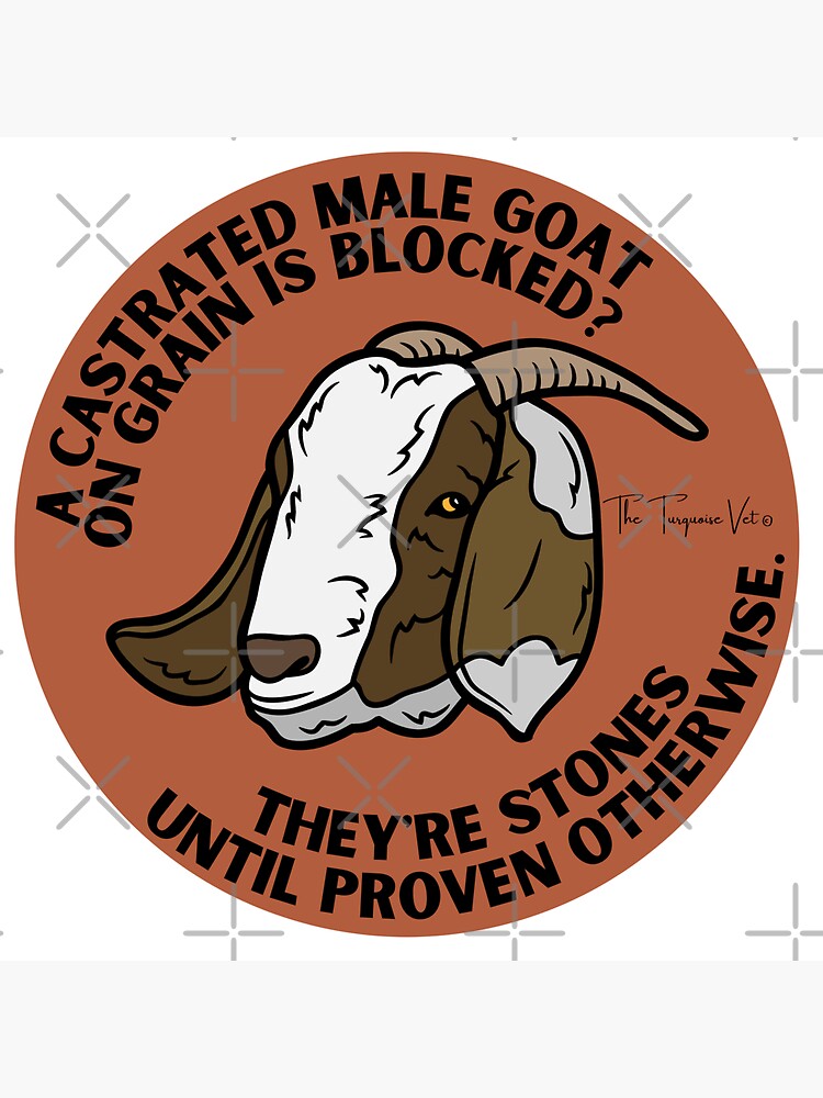 "Male Goat Blocked" Sticker for Sale by TheTurquoiseVet | Redbubble