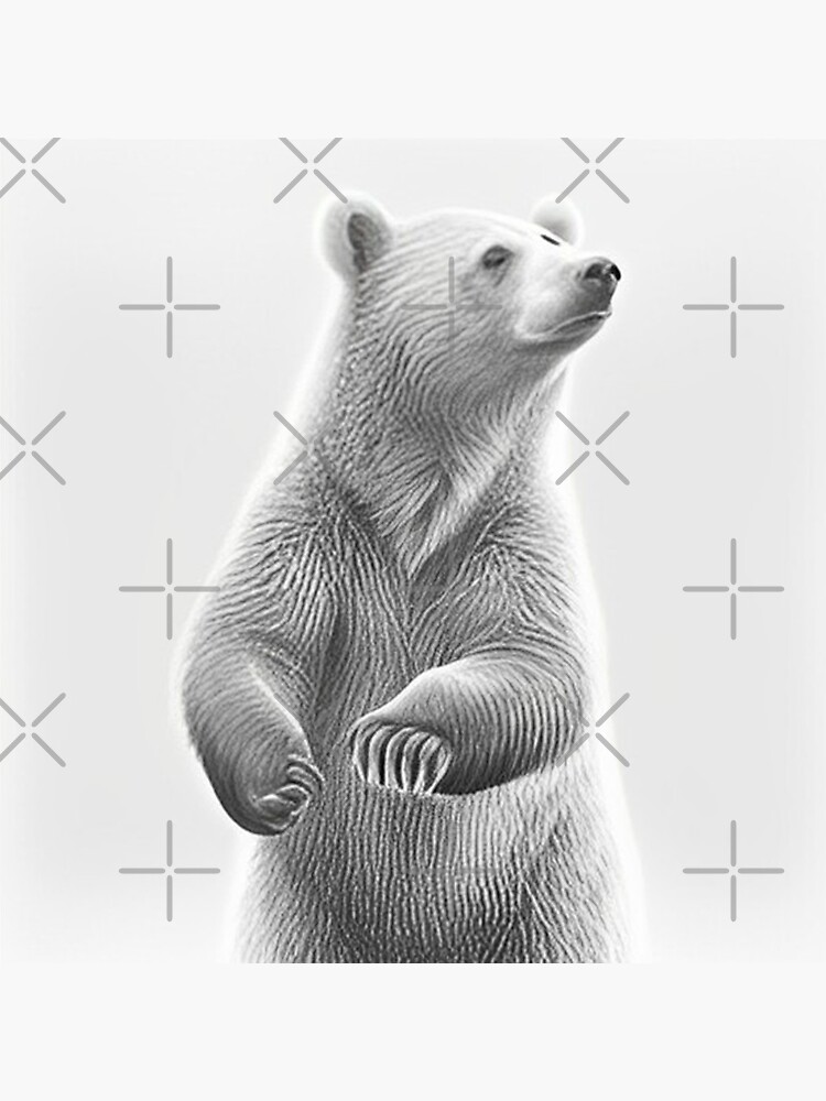 "Bear pencil drawing" Sticker for Sale by Pencil-Art | Redbubble